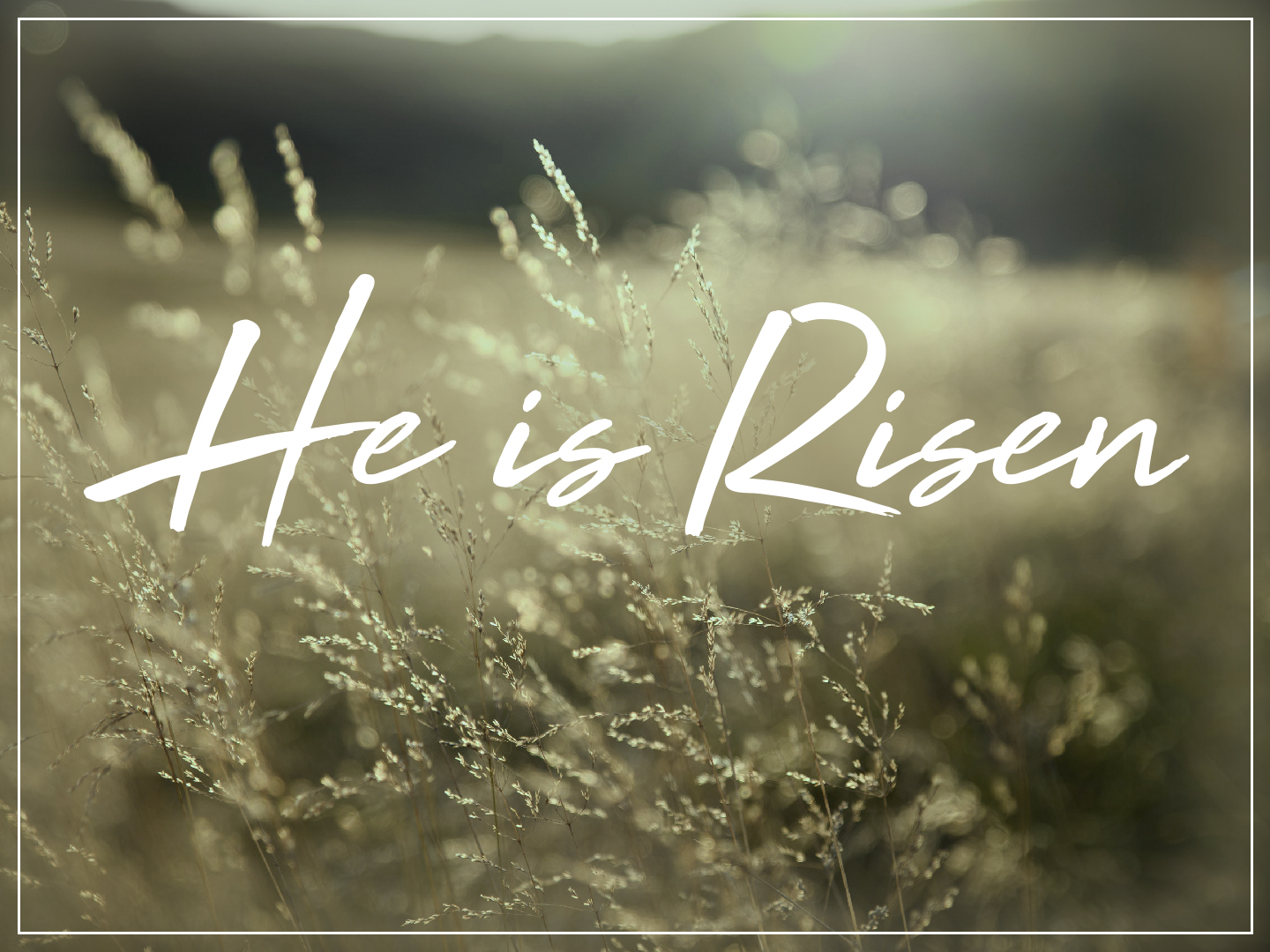 How Do You Like Your Fish? | Beaver Dam Baptist Church