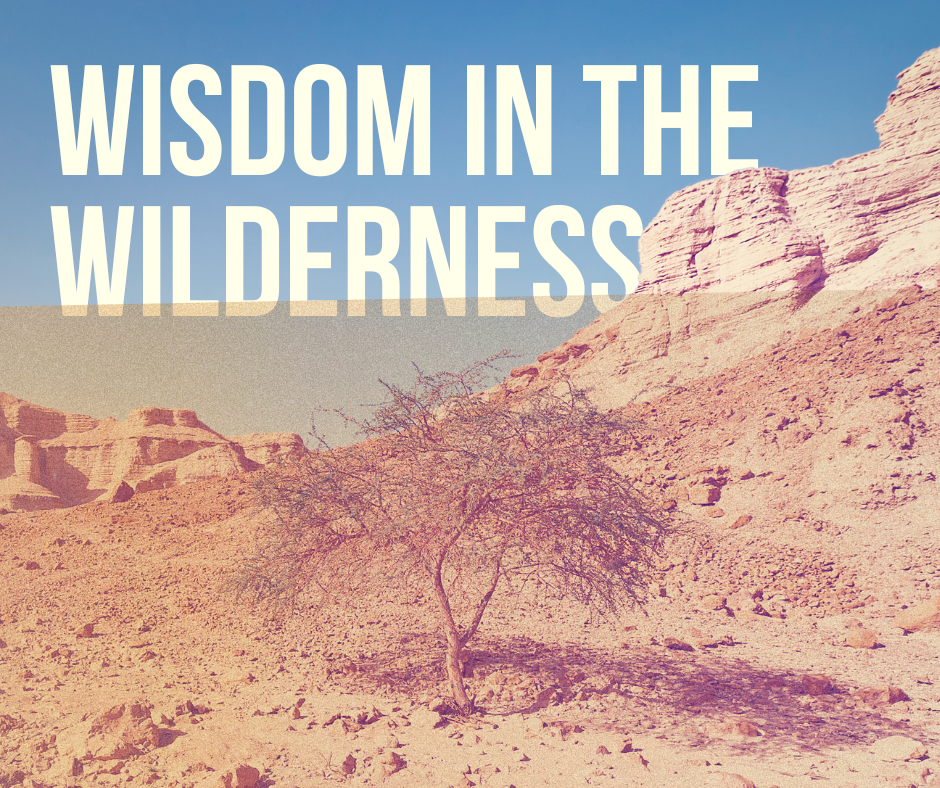 Wisdom in the Wilderness: The Wilderness as a Place of Self-Denial ...